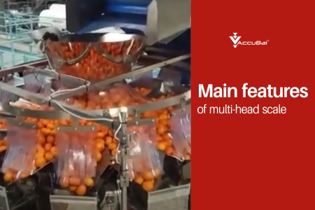 Main features of multi-head scale - Guangdong Accubal Intelligent ...